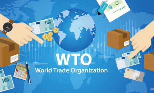 WTO新事務局長の課題は「WTOそのもの」 Wedge ONLINE(ウェッジ・オンライン)